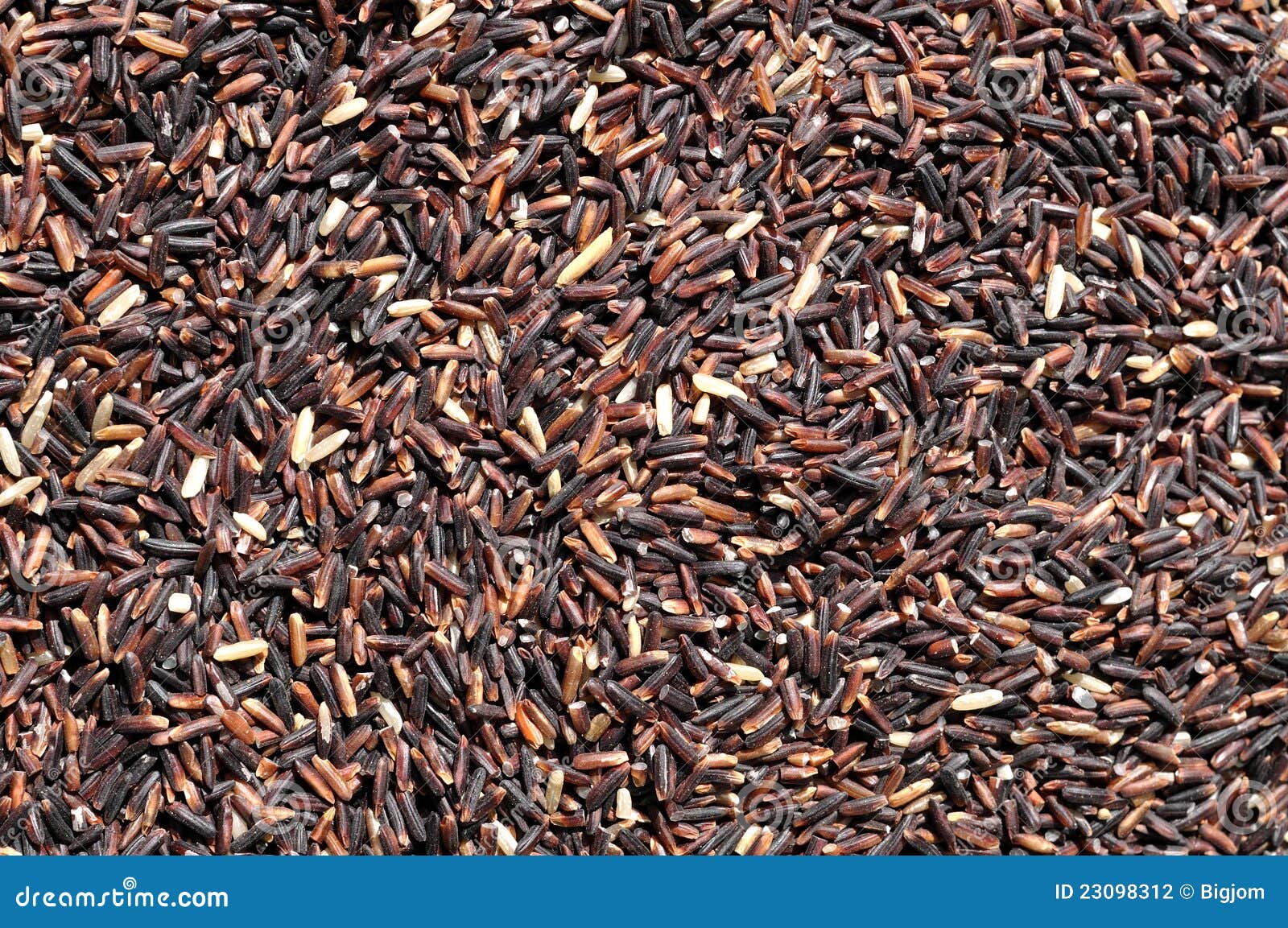 Rice Berry, new Thai rice stock photo. Image of food - 23098312