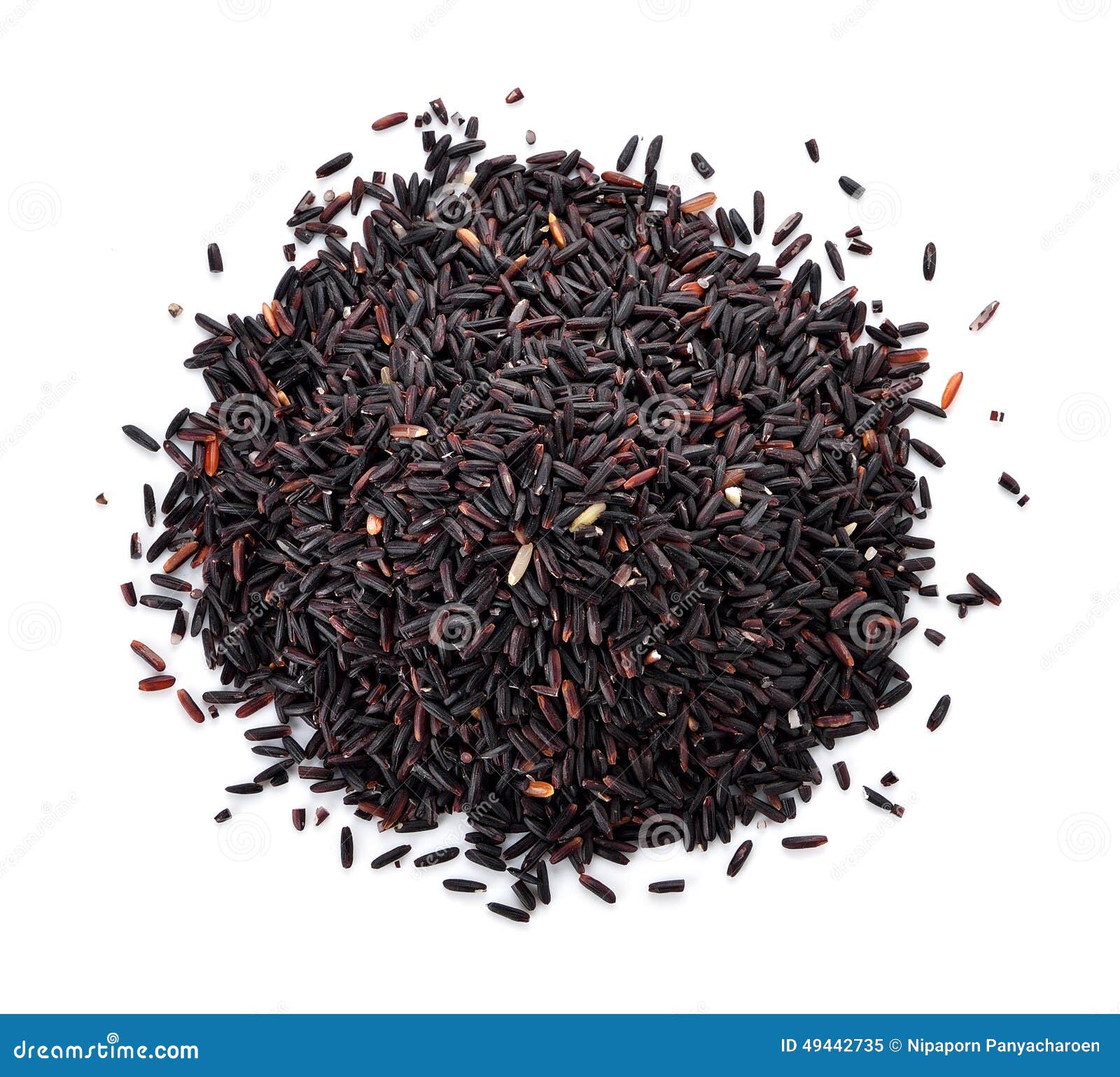 Rice berry stock image. Image of asian, grain, thai, isolated - 49442735