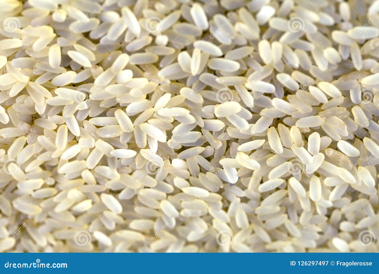 Rice bio grains stock image. Image of decortication - 126297497