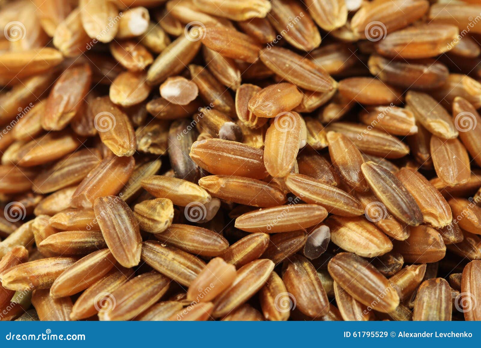 Rice bran shell background stock image. Image of cook - 61795529