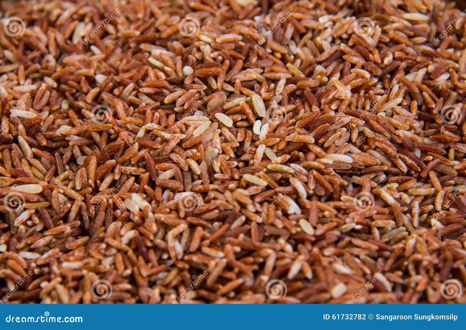 Rice, brown rice, red rice stock photo. Image of organic - 61732782