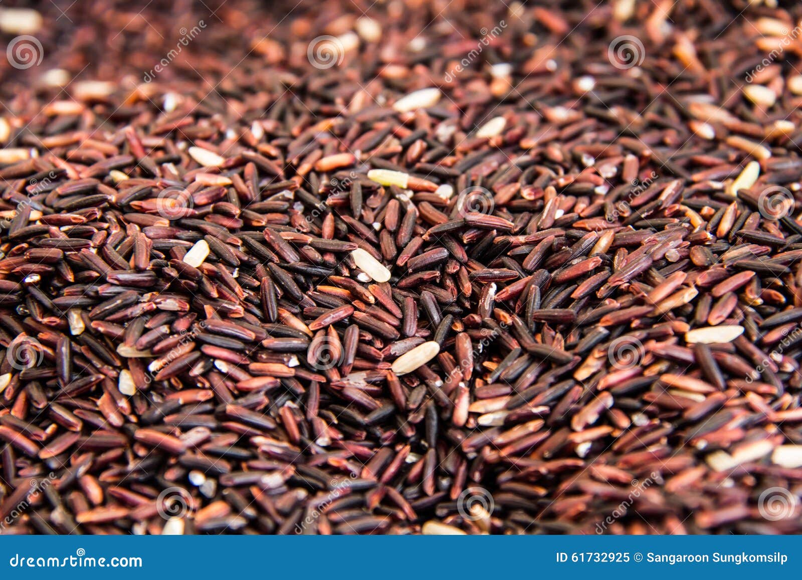 Rice, brown rice, red rice stock image. Image of seed - 61732925