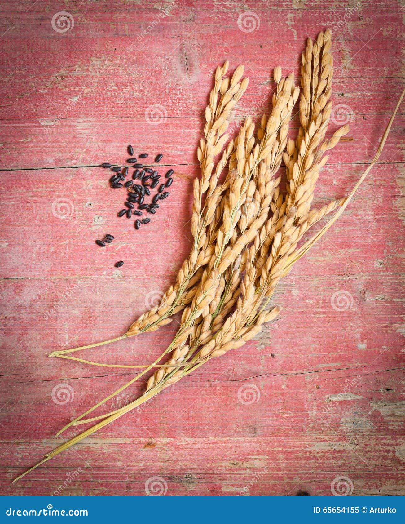 Rice Bunch with Grain of Black Rice Stock Image - Image of bunch, paddy ...