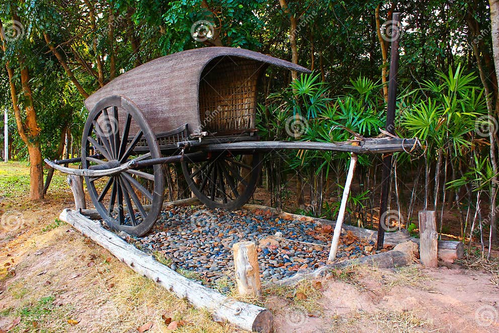 Rice cart stock image. Image of hand, grain, farmland - 22878897
