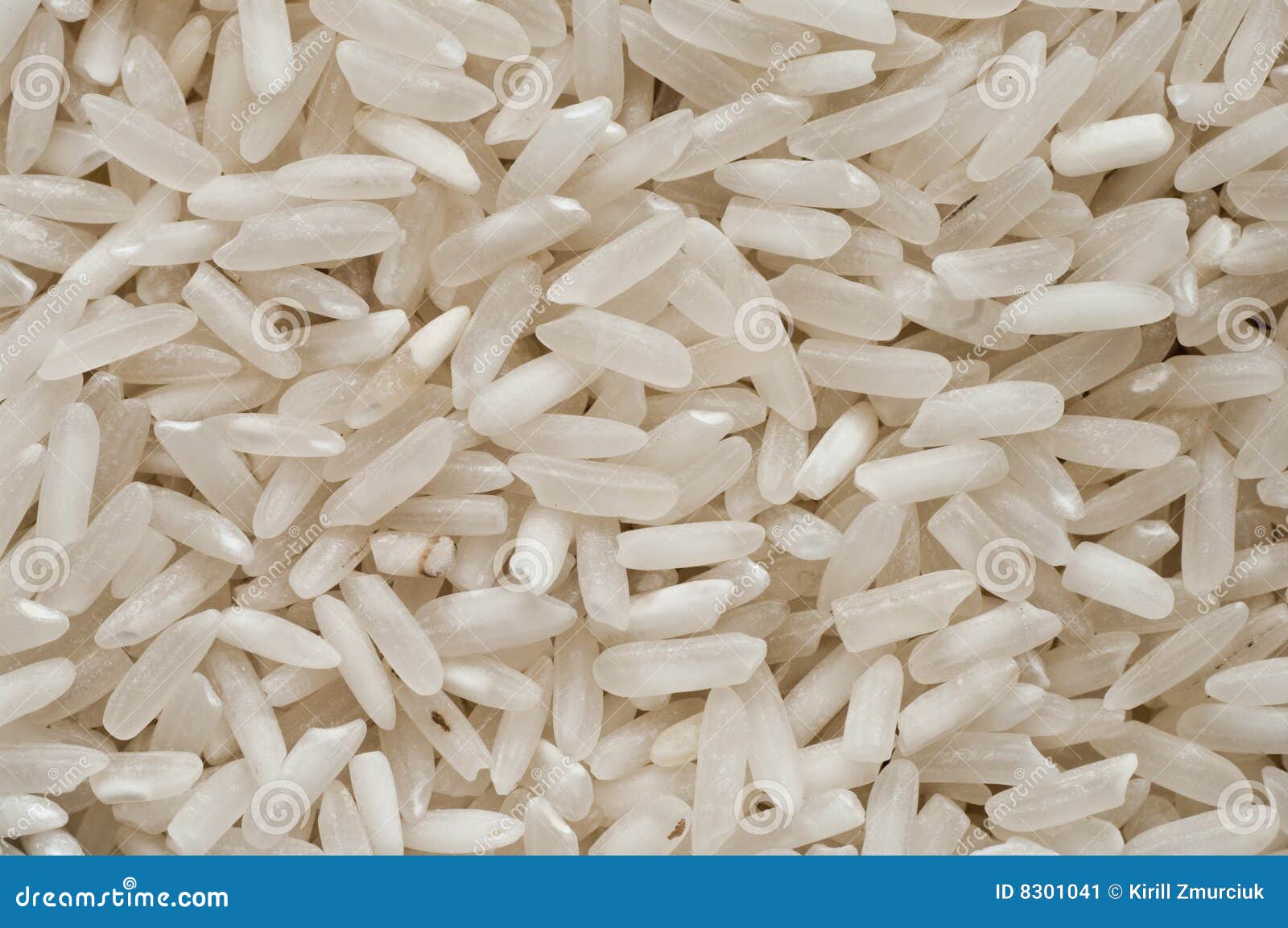 Rice closeup stock image. Image of closeup, food, white - 8301041