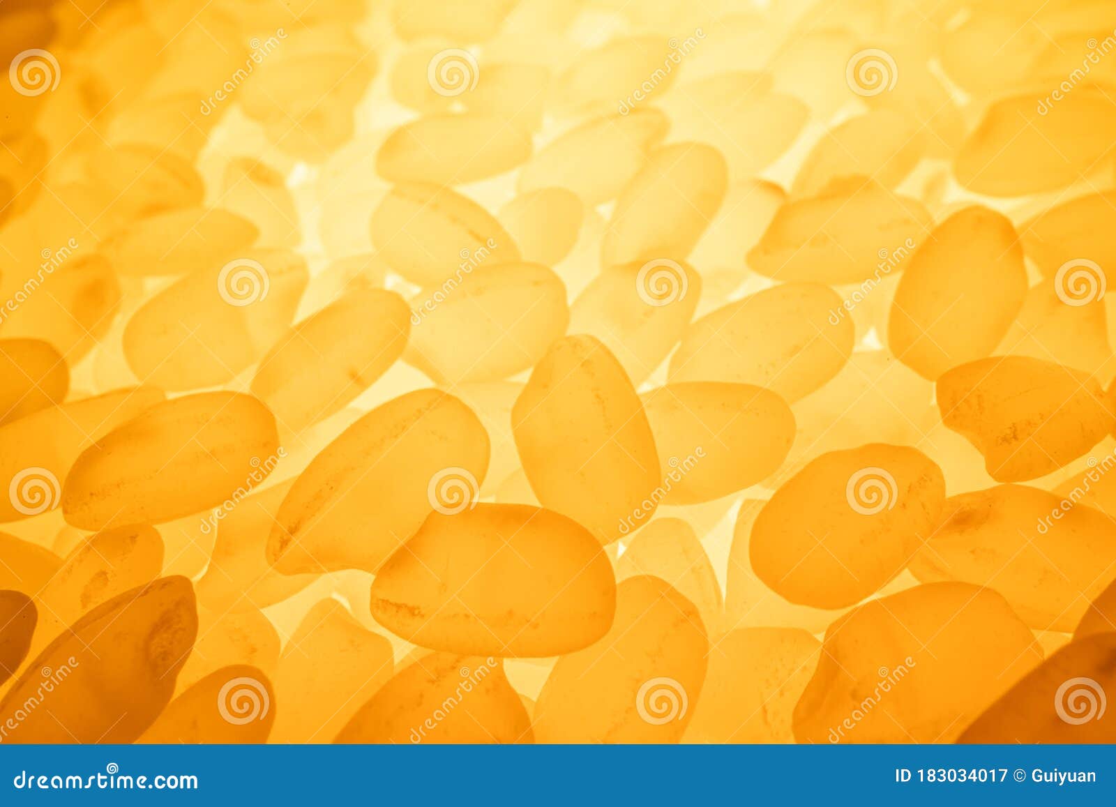 Rice Closeup. the Effect of a Yellow Light Passing through the Rice ...