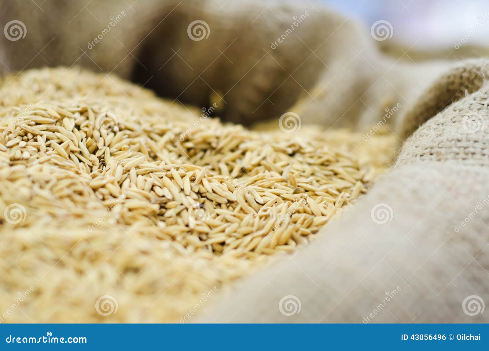 Rice stock photo. Image of closeup, eating, dietary, calories - 43056496