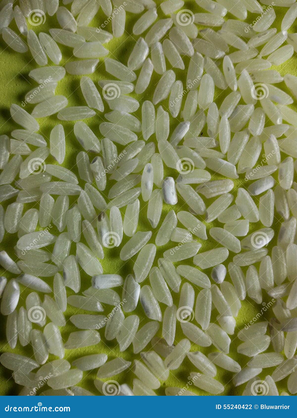 Rice closeup stock photo. Image of edible, view, grains - 55240422
