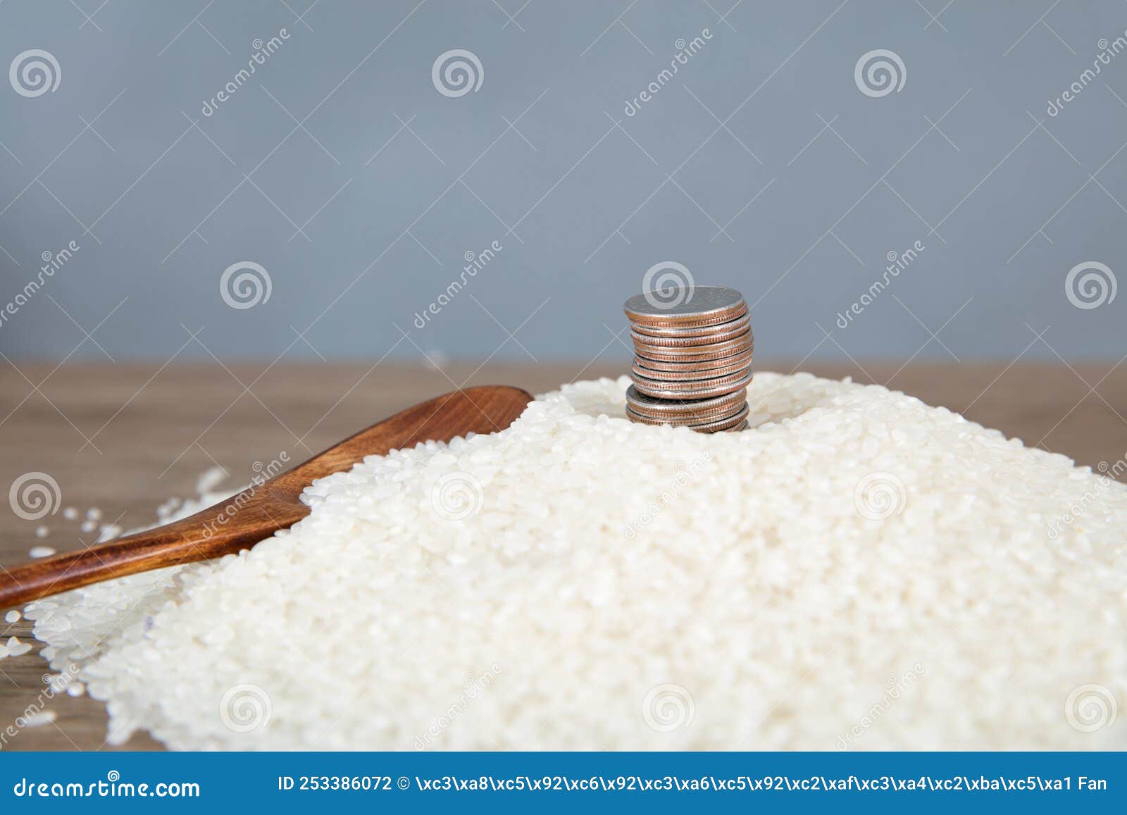 Rice and coins on table stock photo. Image of rice, currency - 253386072