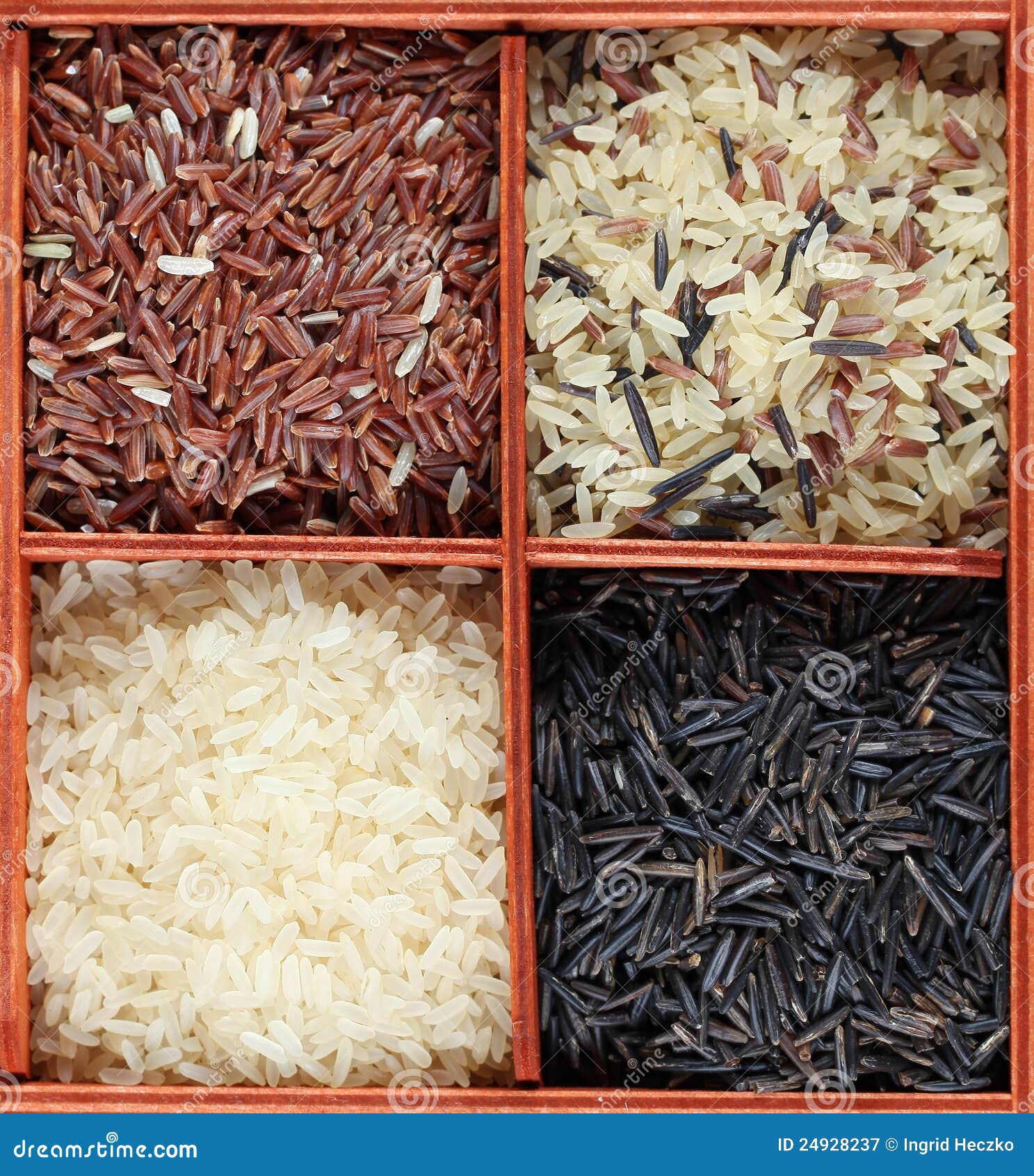 Rice collection stock image. Image of japanese, food - 24928237