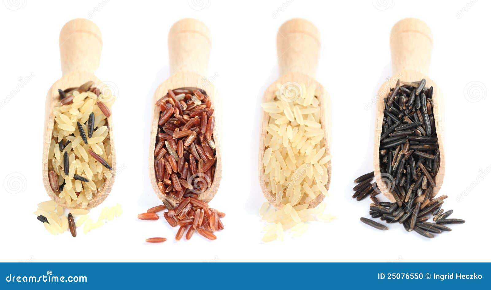 Rice collection stock photo. Image of grains, objects - 25076550