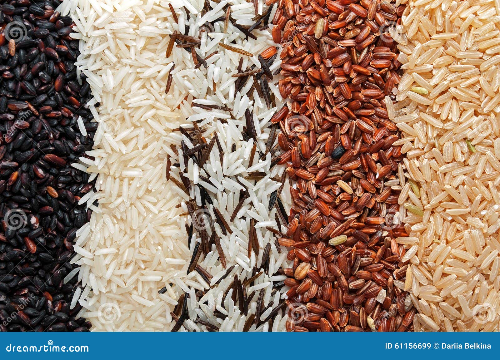 Rice collection stock image. Image of assortment, crop - 61156699
