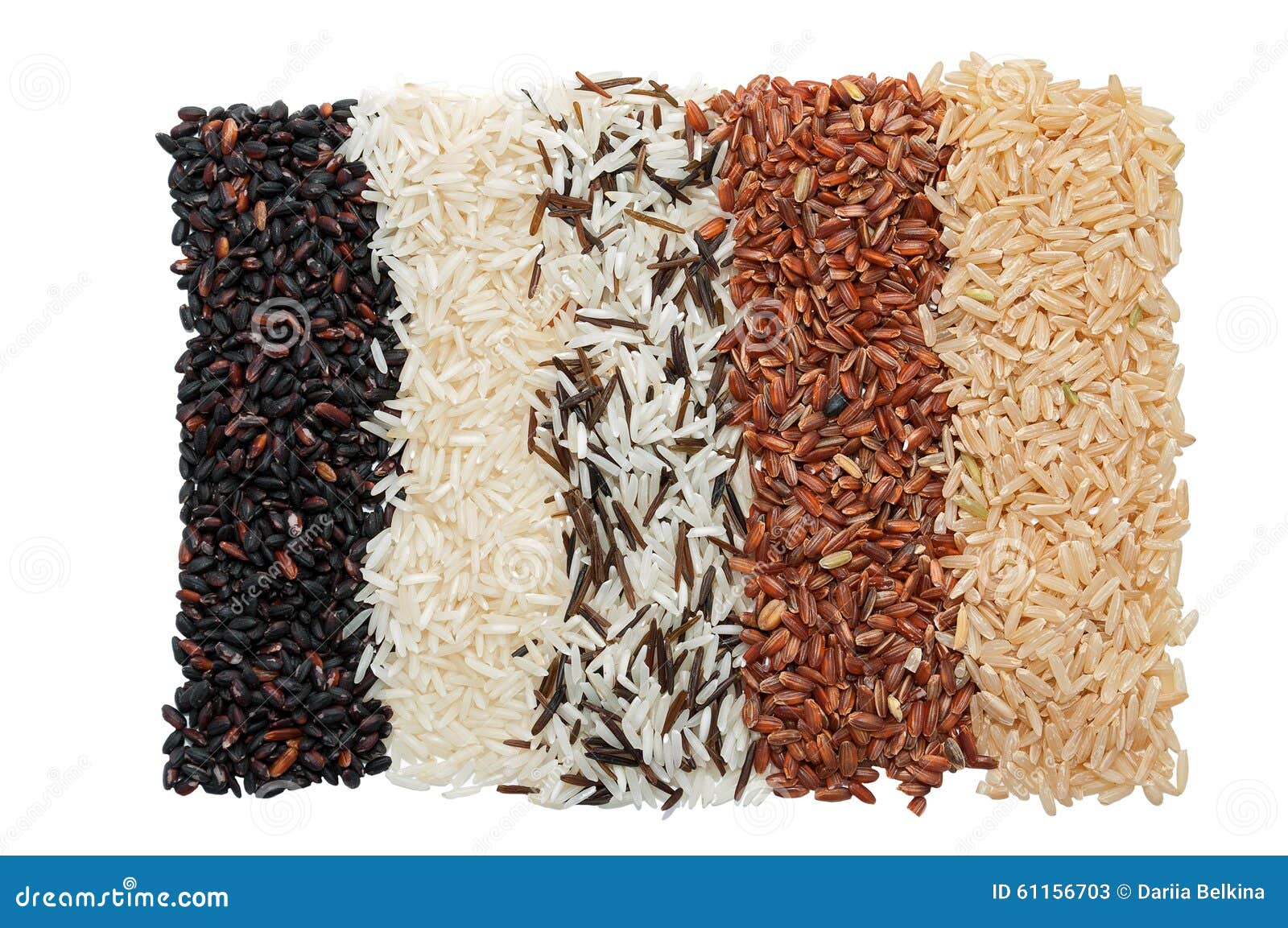 Rice Collection Isolated on White Background Stock Image - Image of ...