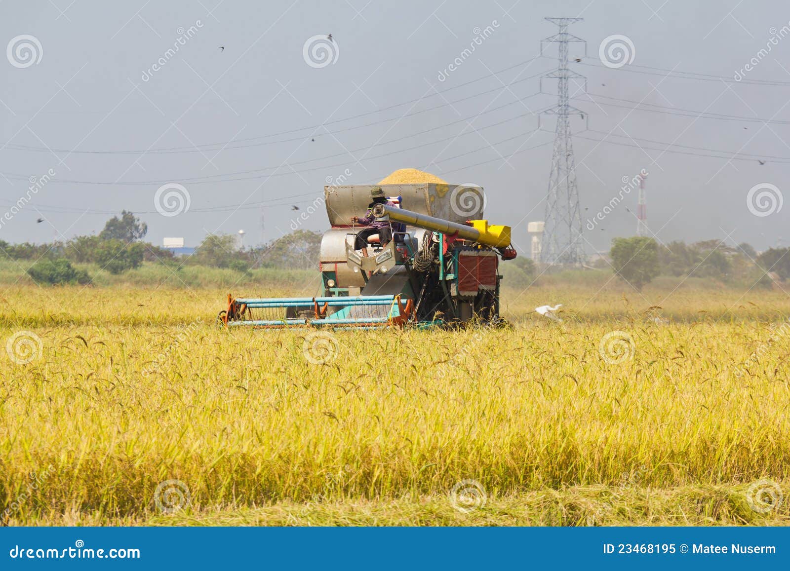 Rice combine harvester stock image. Image of harvest - 23468195