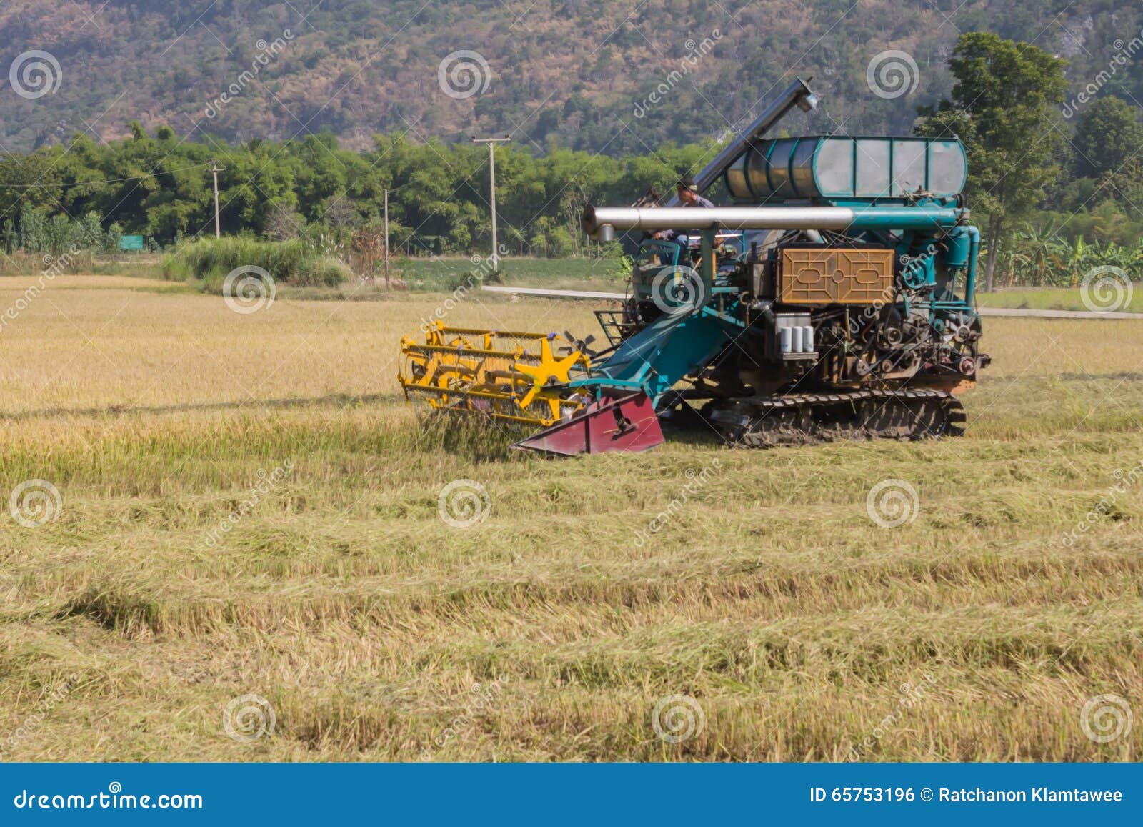 Rice combine harvesters stock photo. Image of harvest - 65753196