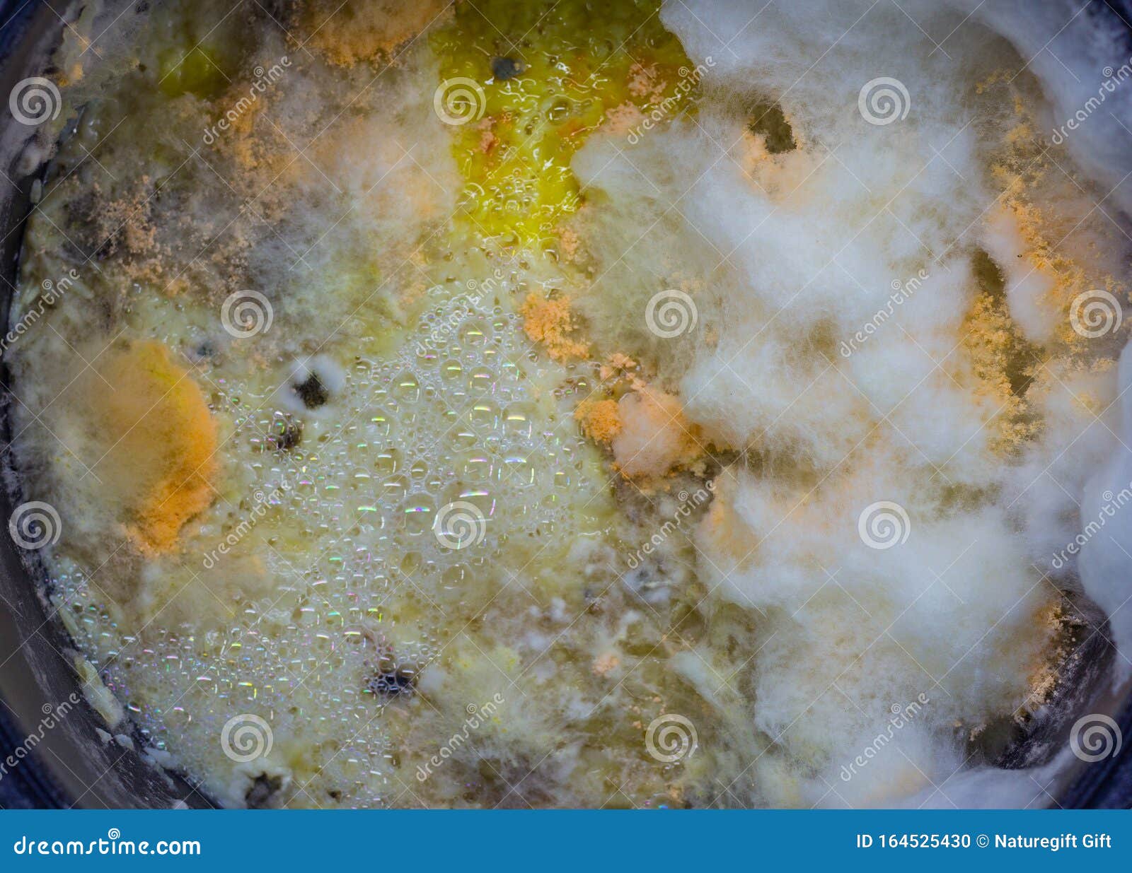 Rice that is Cooked and Left for a Long Time Stock Photo - Image of ...