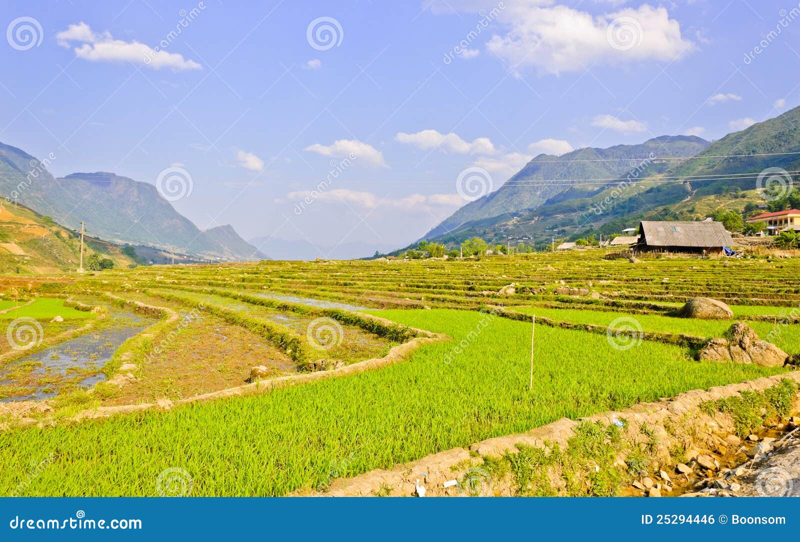Rice Crops in Valley of Sapa Highland Stock Photo - Image of asian ...
