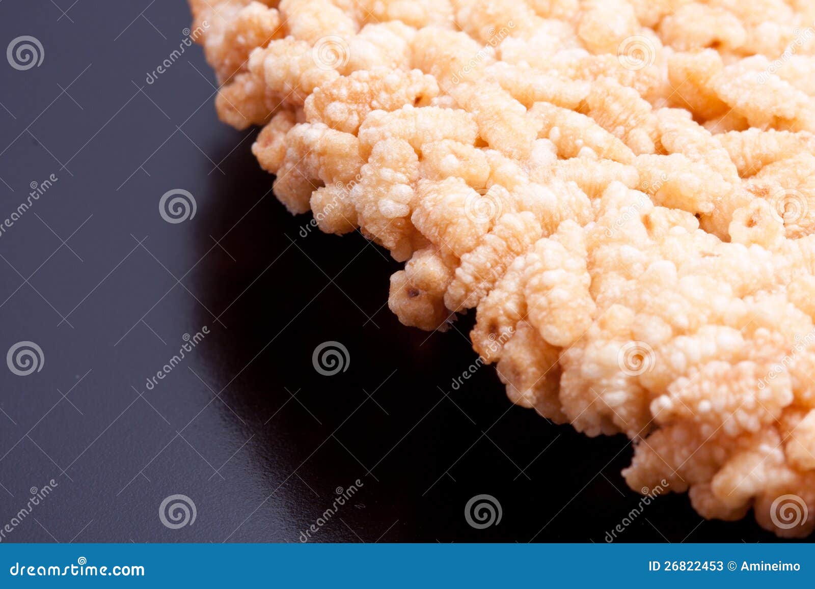 Rice crust stock image. Image of east, brown, delicious - 26822453
