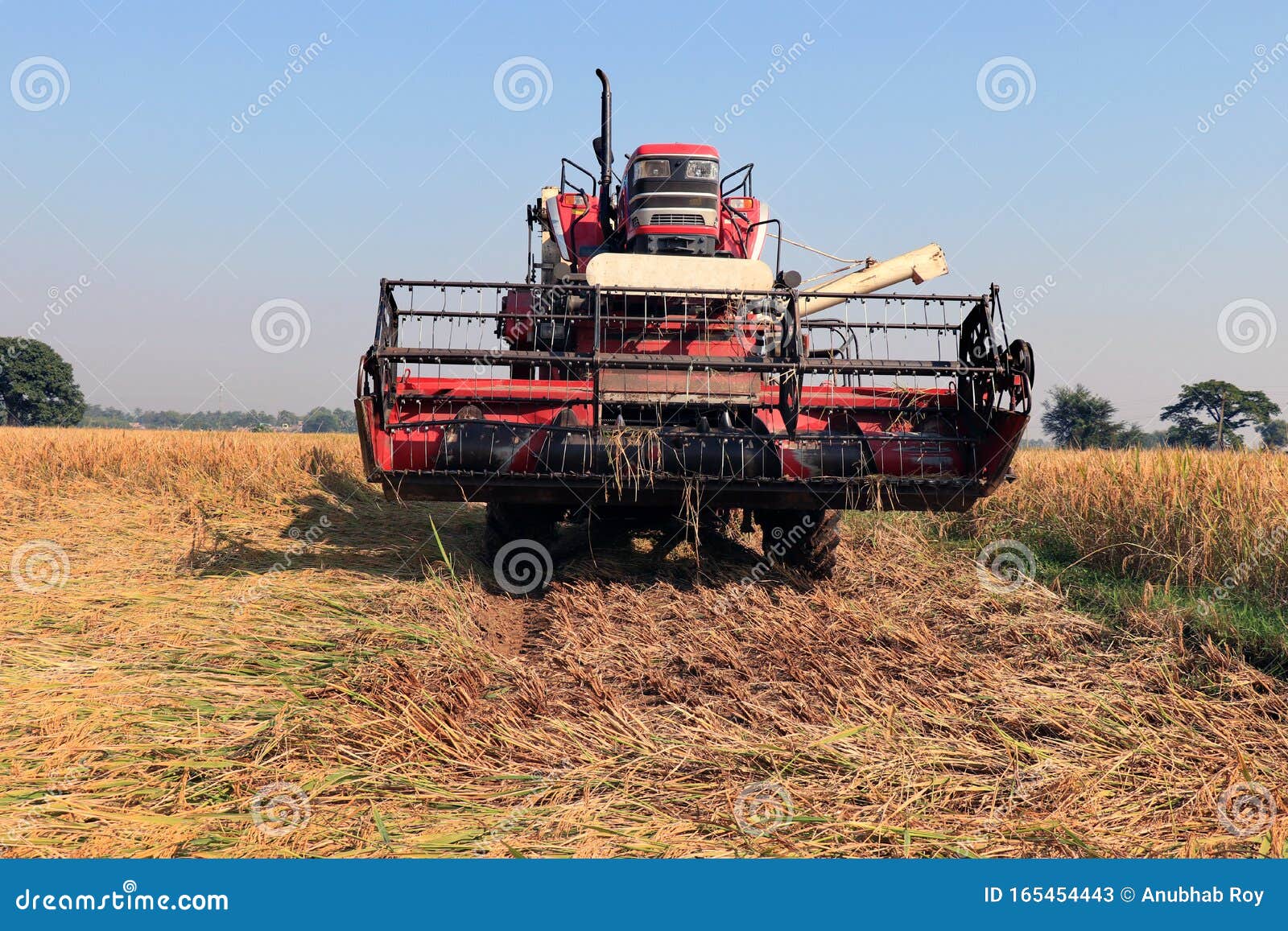Rice Cutting Machine And Tractor In The Paddy Field Stock Image