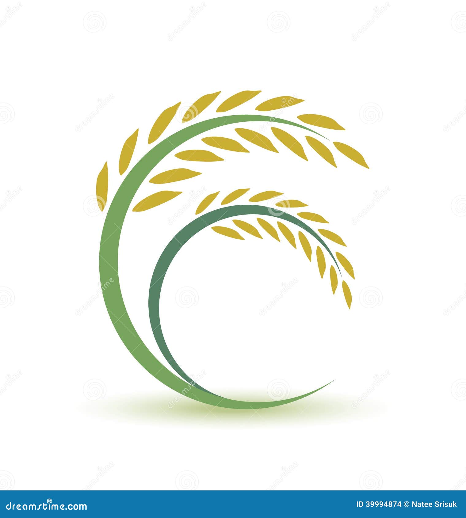 Rice design stock vector. Illustration of food, grain - 39994874