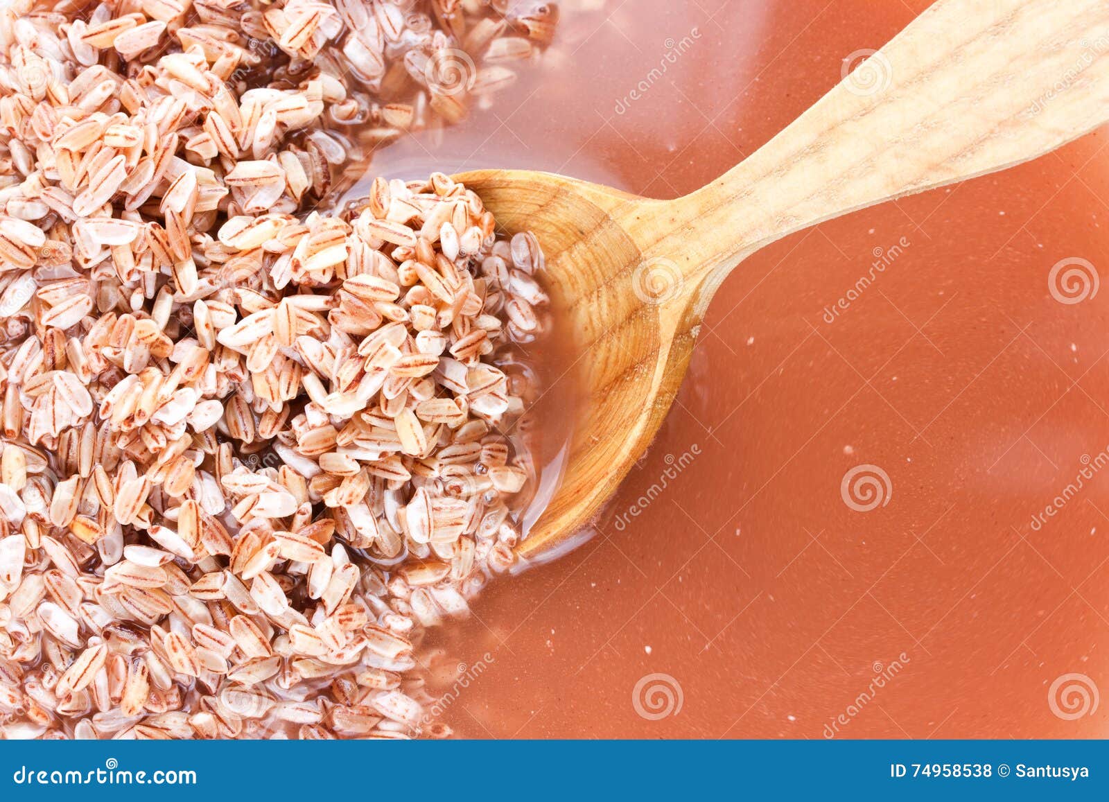 Rice devzira stock photo. Image of central, east, healthy - 74958538