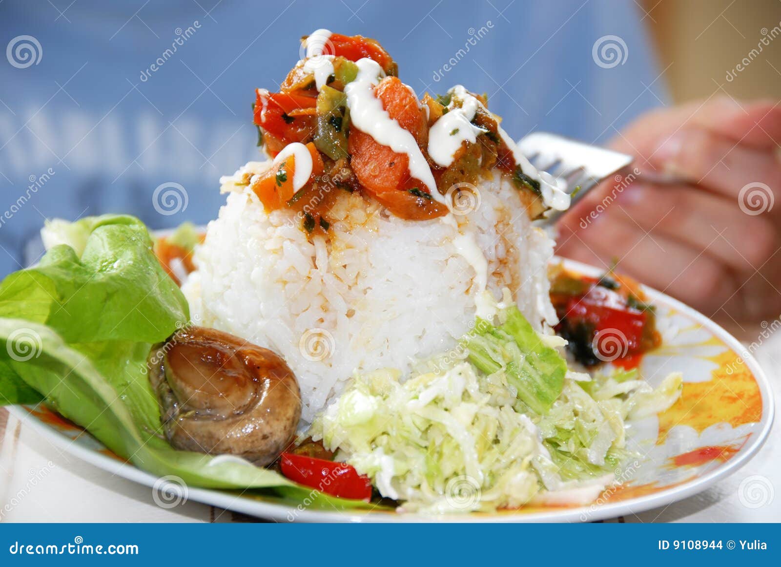 Rice dinner stock photo. Image of dining, cereals, fresh - 9108944