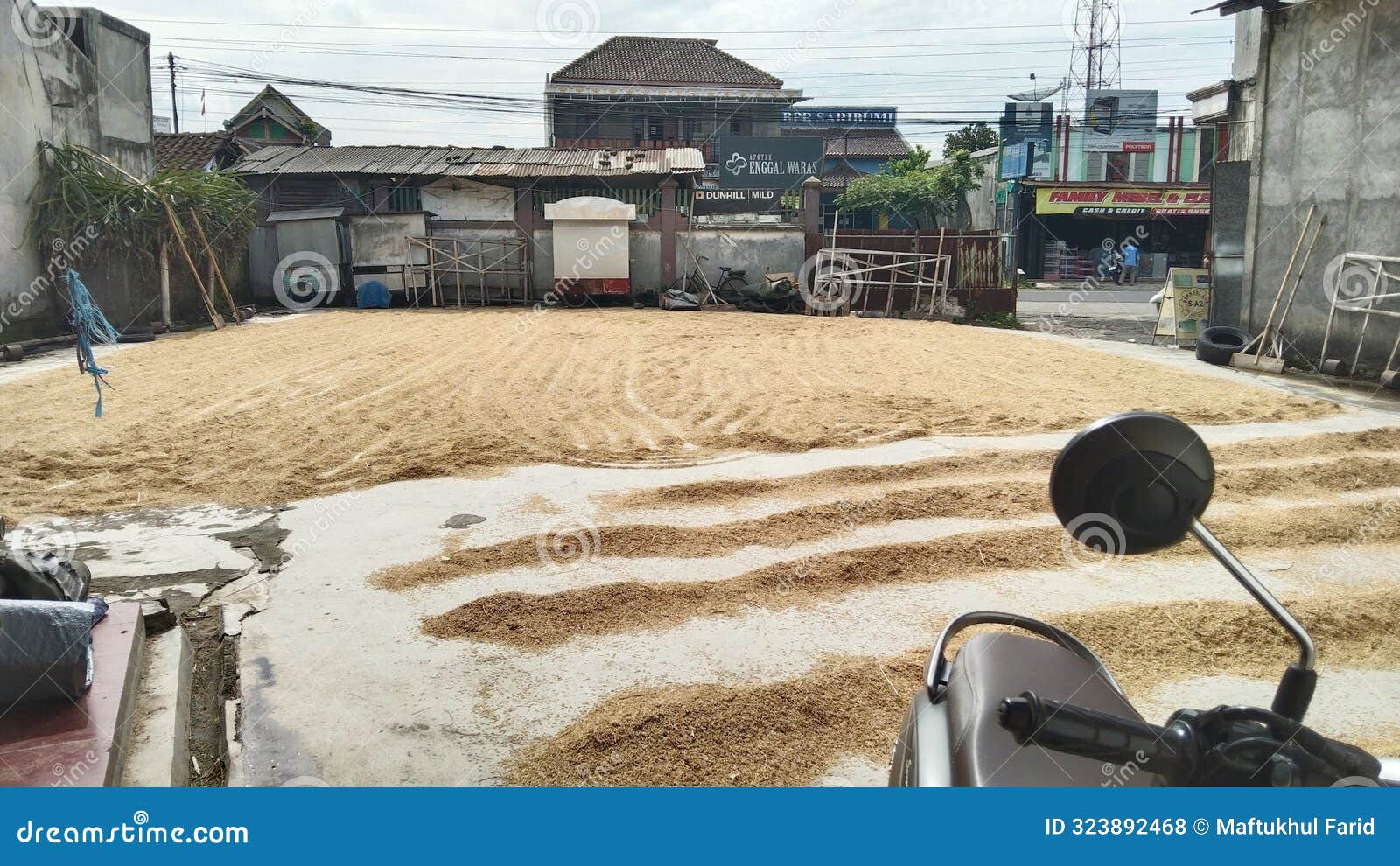 Rice Drying Process,using Solar Heat Editorial Stock Photo - Image of ...