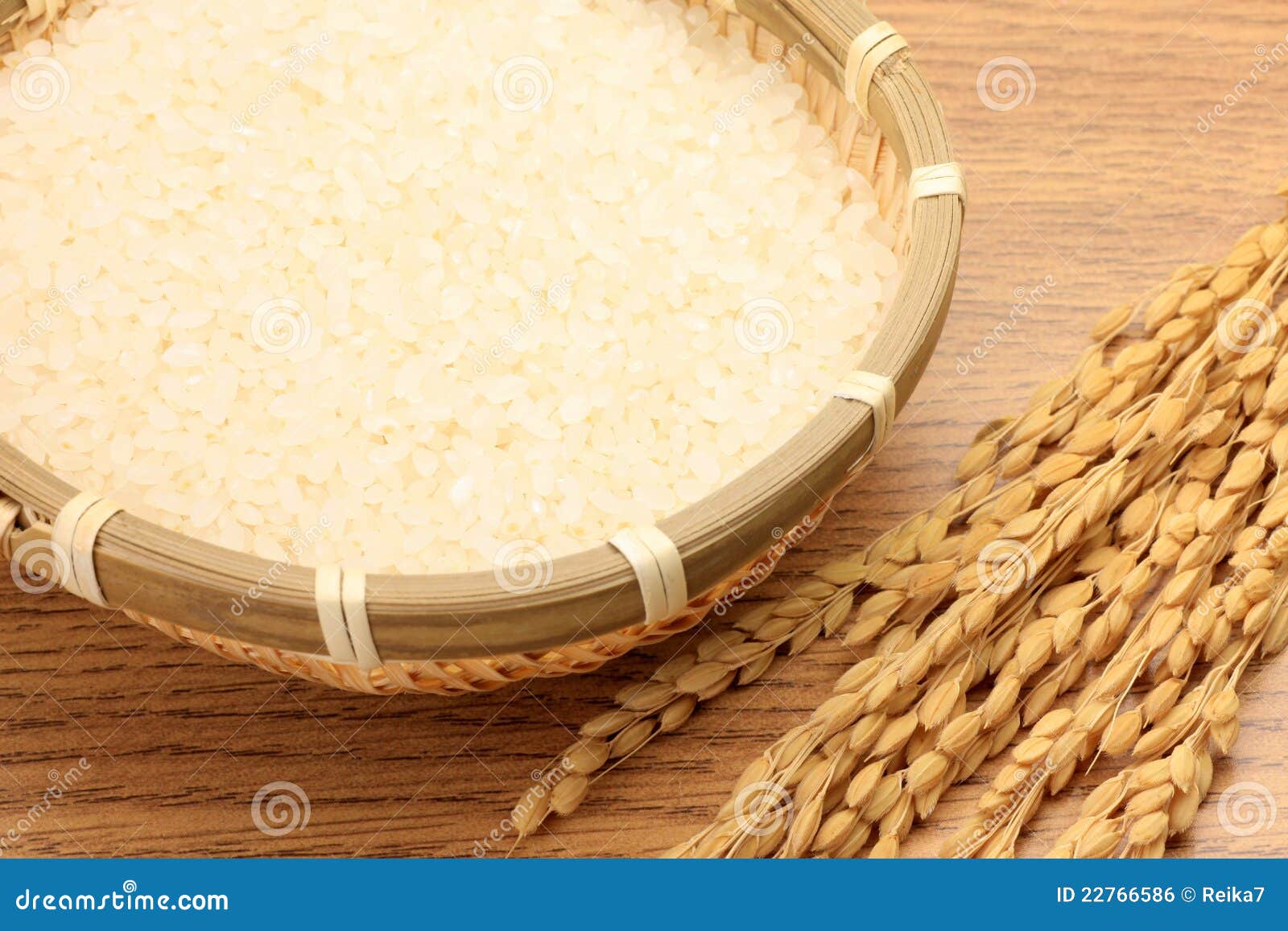 Rice and ear of rice stock photo. Image of rice, food - 22766586