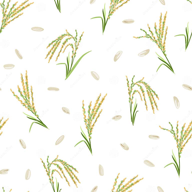 Rice Ears and Grains Background. Vector Seamless Pattern with Cereal ...