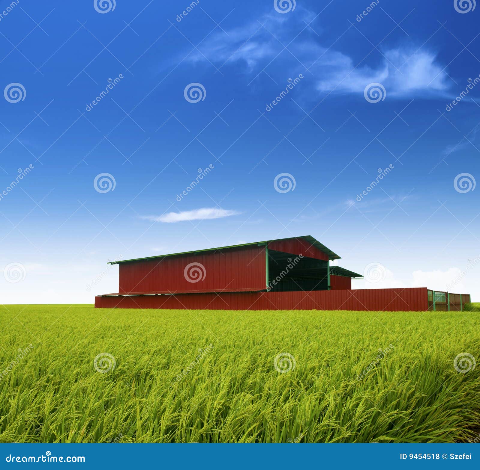Rice factory. stock photo. Image of factory, beauty, agriculture - 9454518
