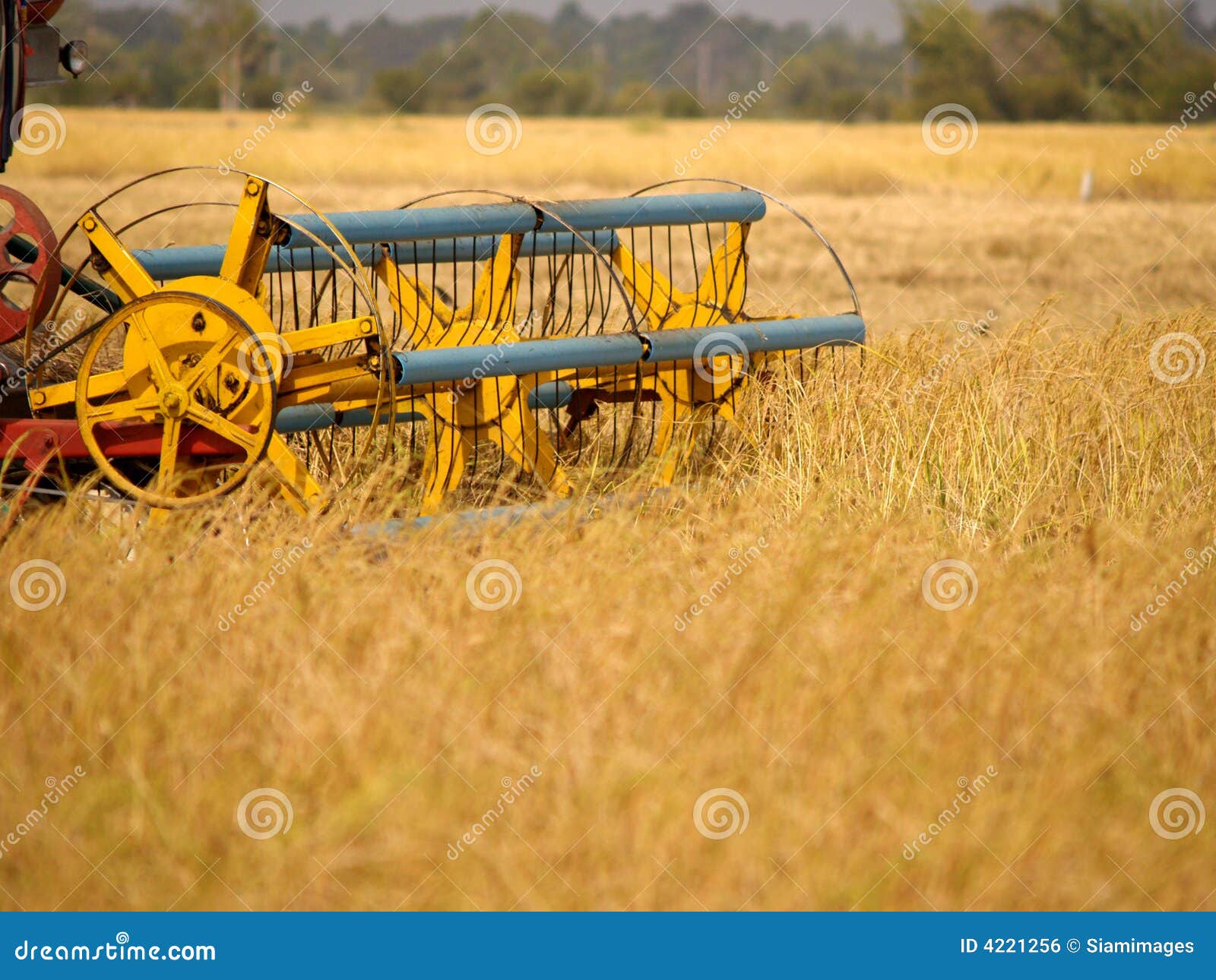 Rice farm and machine stock photo. Image of thai, field - 4221256