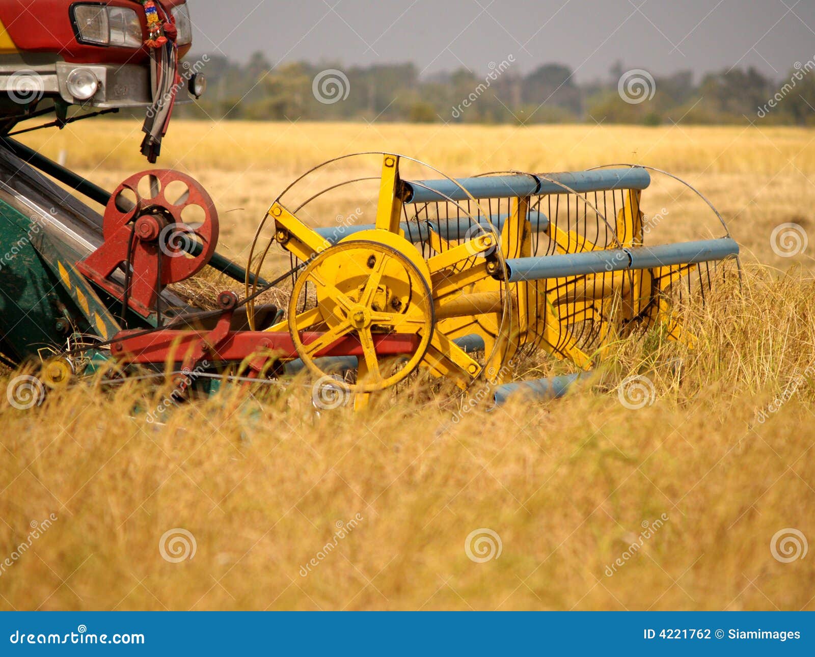 Rice farm and machine stock photo. Image of thailand, leave - 4221762