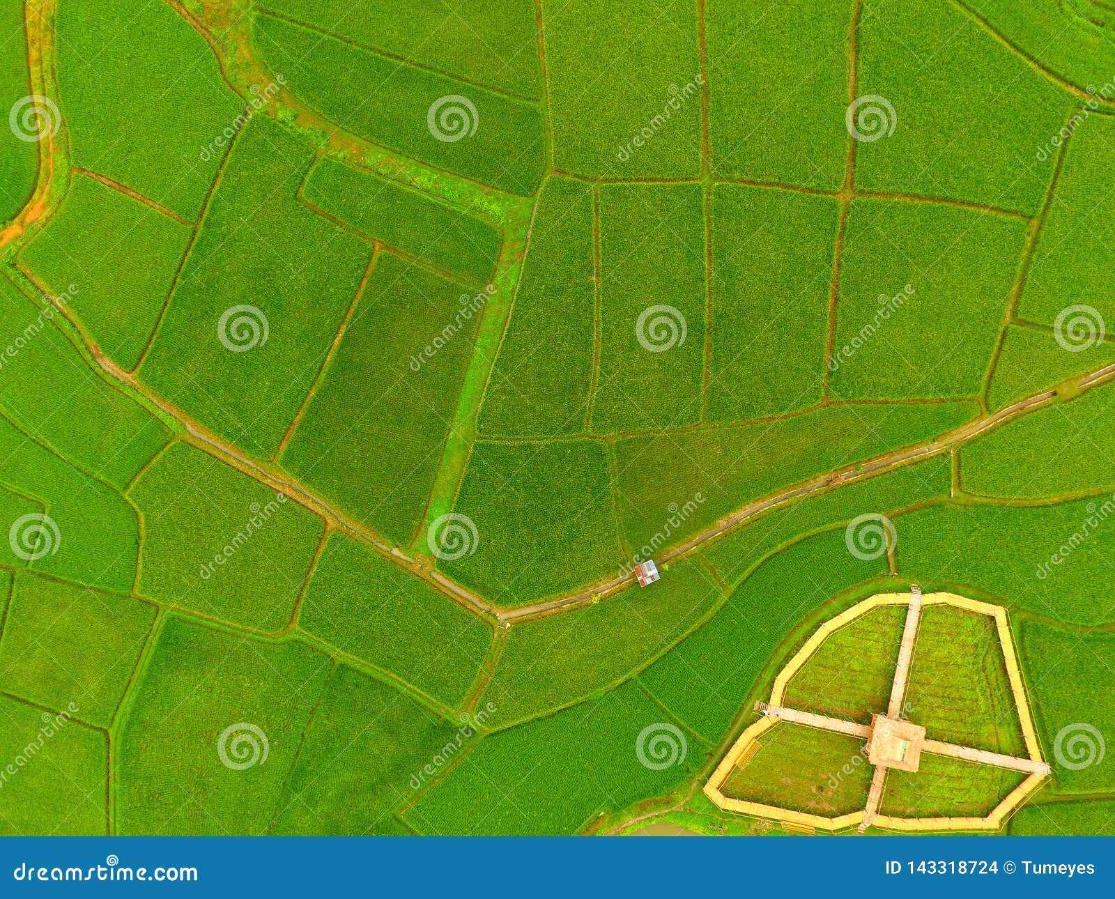 Rice Farm Map, Bird Eye View Stock Photo - Image of grass, food: 143318724