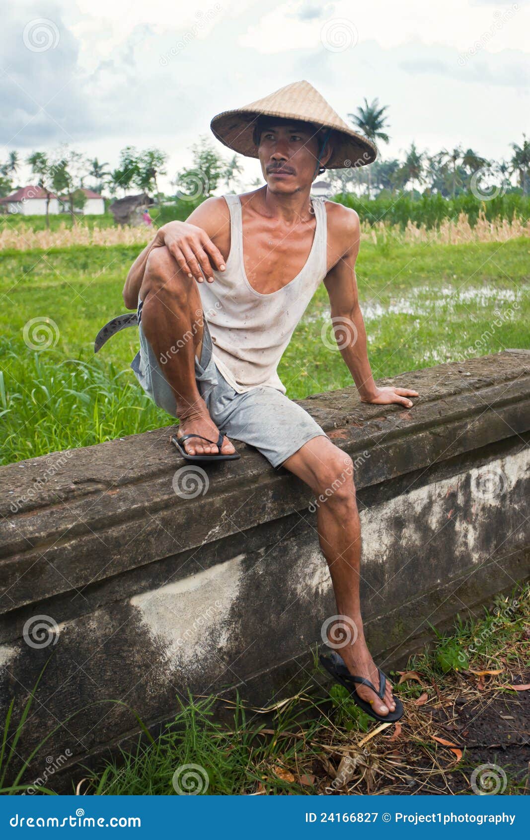 Rice farmer editorial photography. Image of nature, life - 24166827