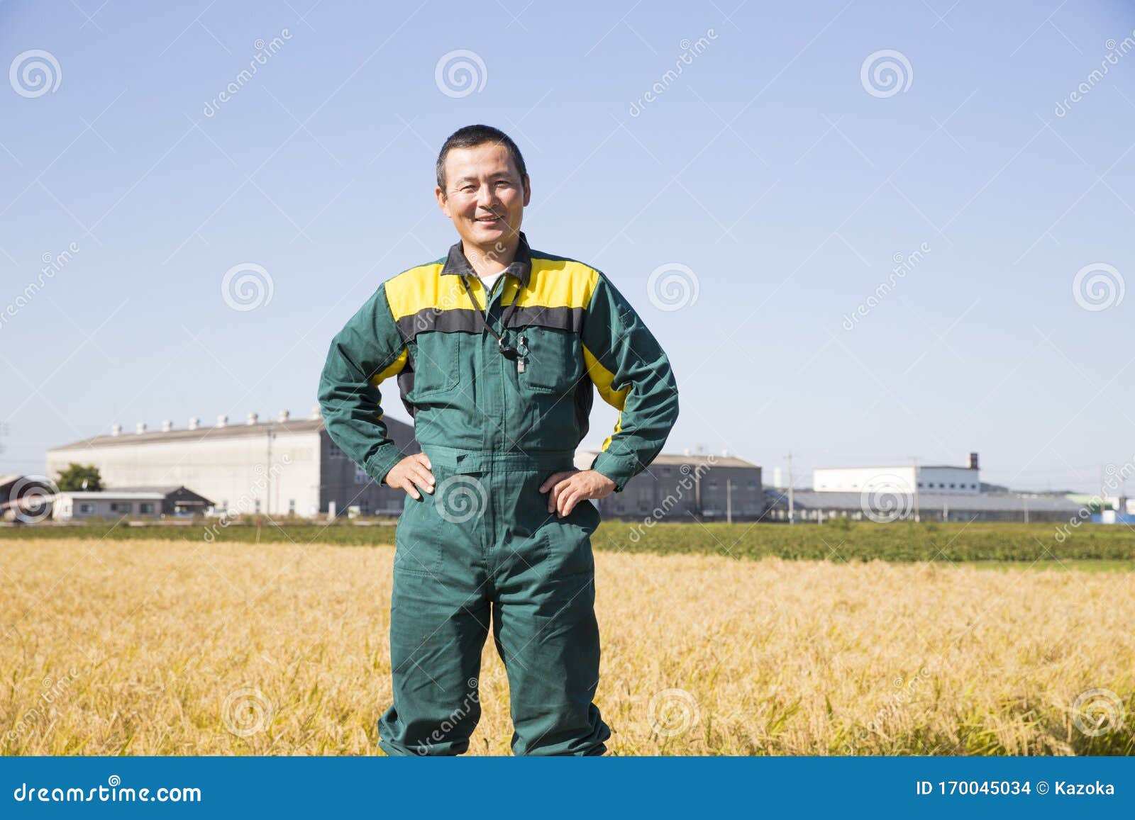 Rice farmer man stock photo. Image of field, president - 170045034