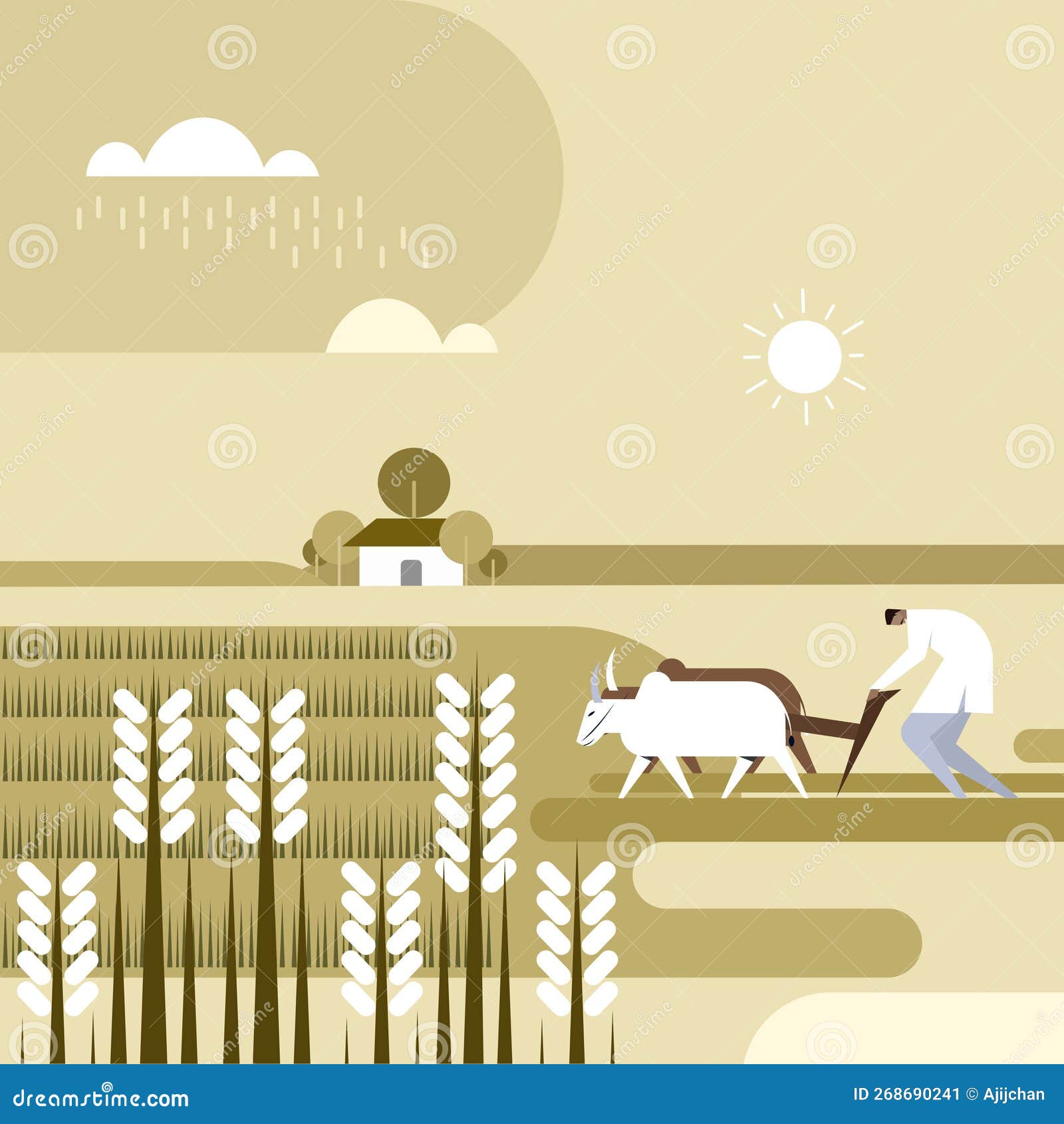 Indian Farmer with Bullocks Working in the Agricultural Field Stock ...