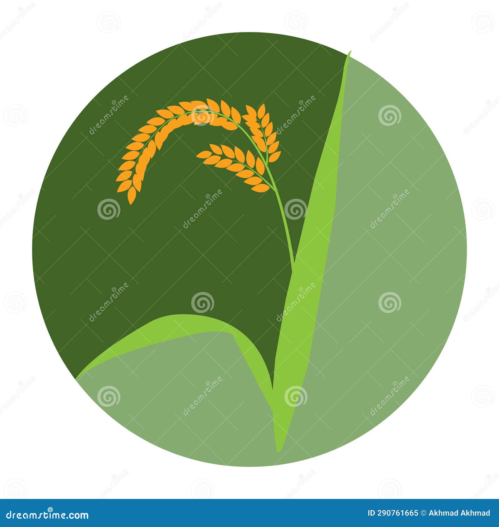 Rice farming icon stock vector. Illustration of organic - 290761665