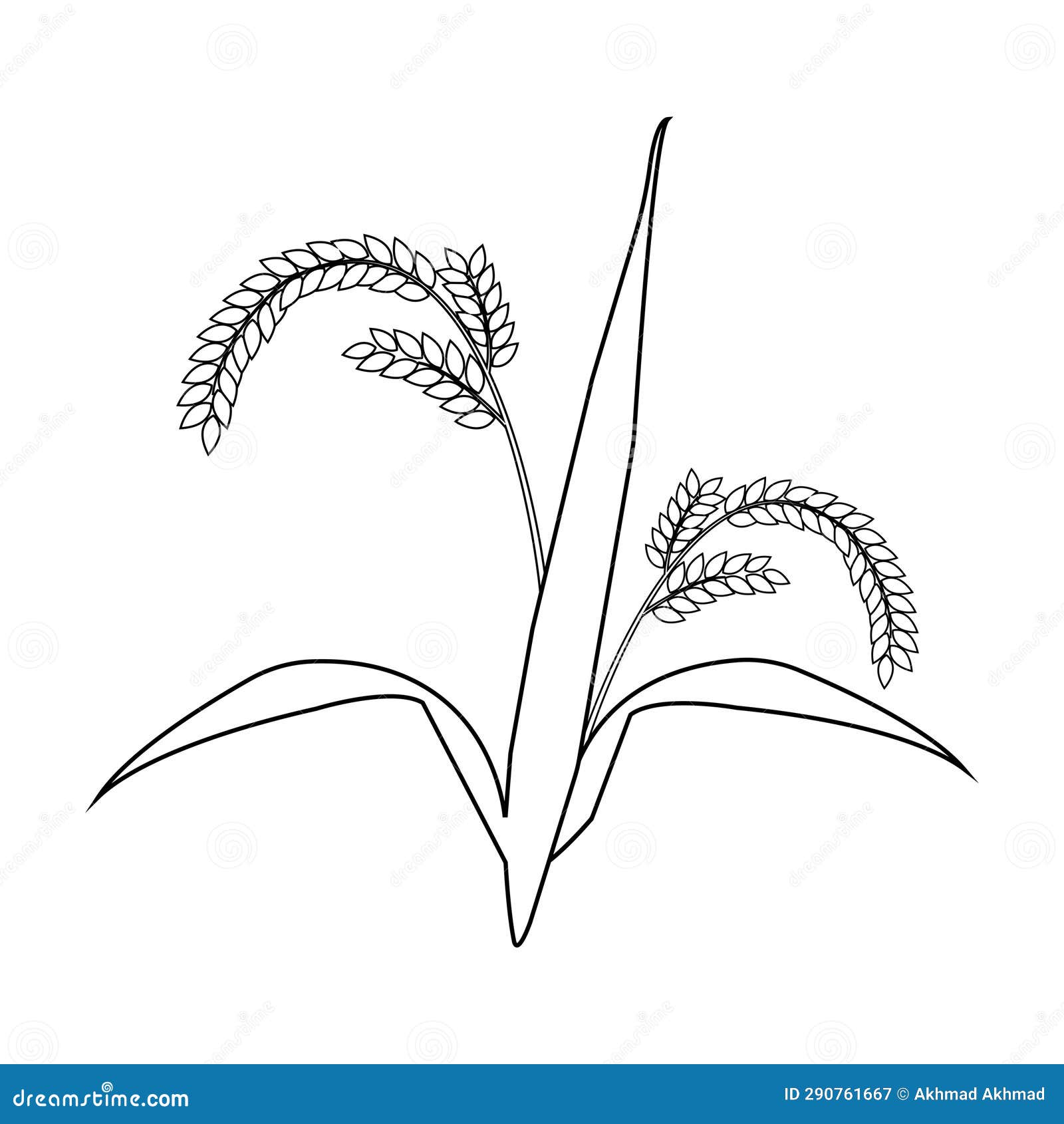 Rice farming icon stock vector. Illustration of yield - 290761667