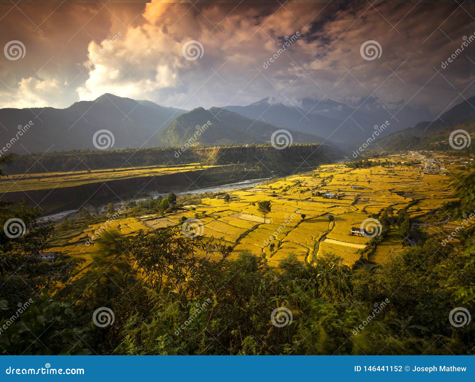 Terraced Paddy Field in Kandakki Nepal Stock Photo - Image of food ...