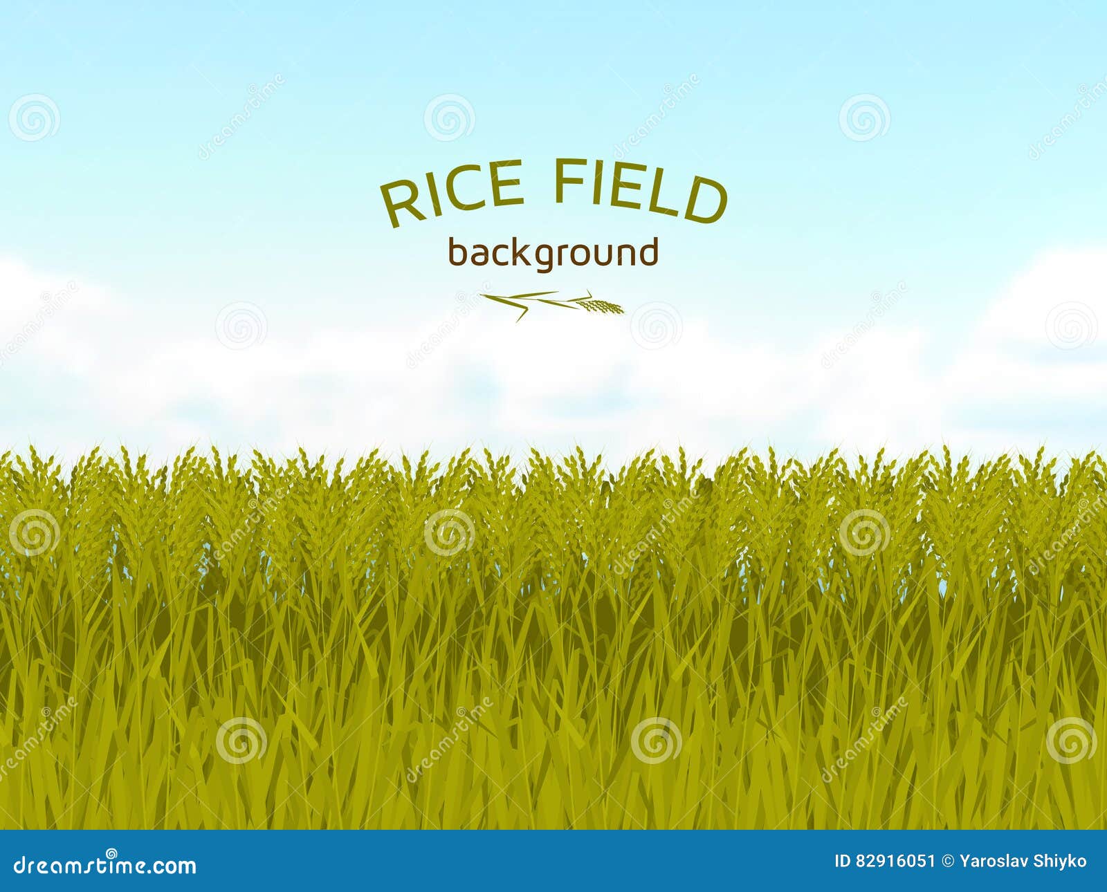 Rice Field and Blue Sky Background Stock Vector - Illustration of blue ...