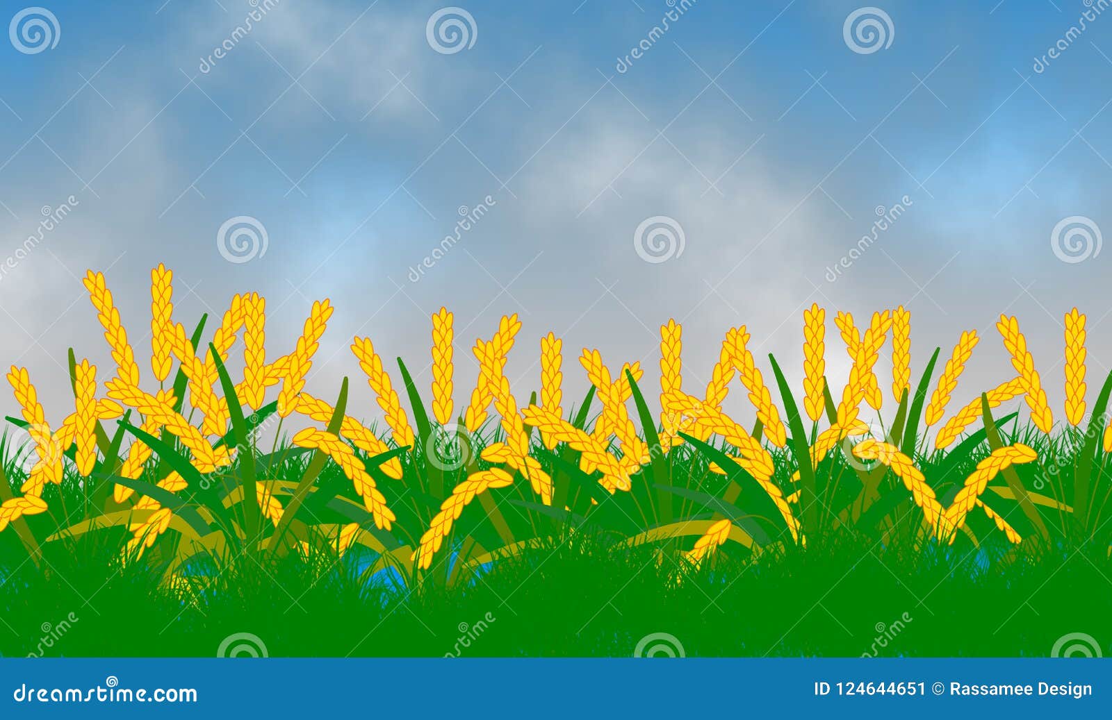 Rice Field and Blue Sky Design Background Stock Illustration ...
