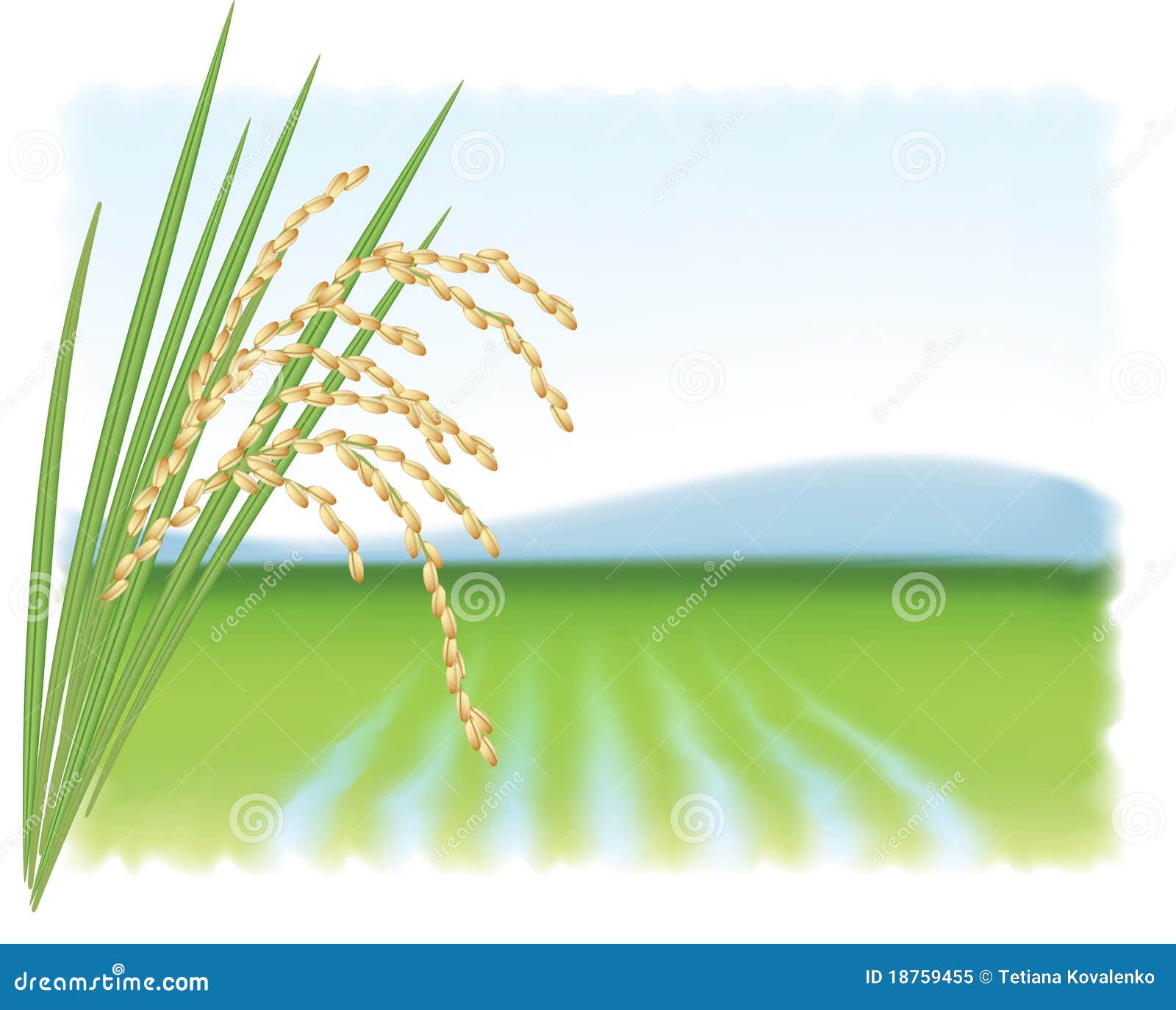Rice Cartoons, Illustrations & Vector Stock Images - 99054 Pictures to ...