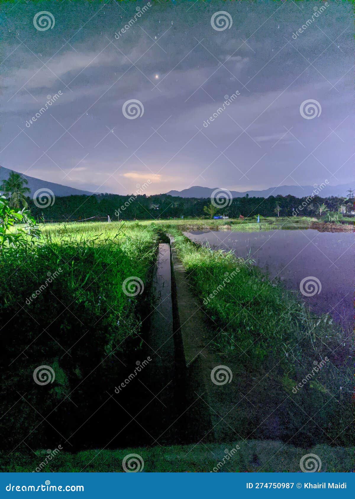 Rice field drainsat night stock image. Image of landscape - 274750987