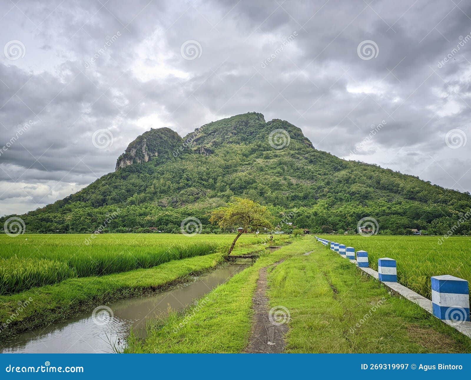 A mountain called budeg stock image. Image of rice, tulungagung - 269319997