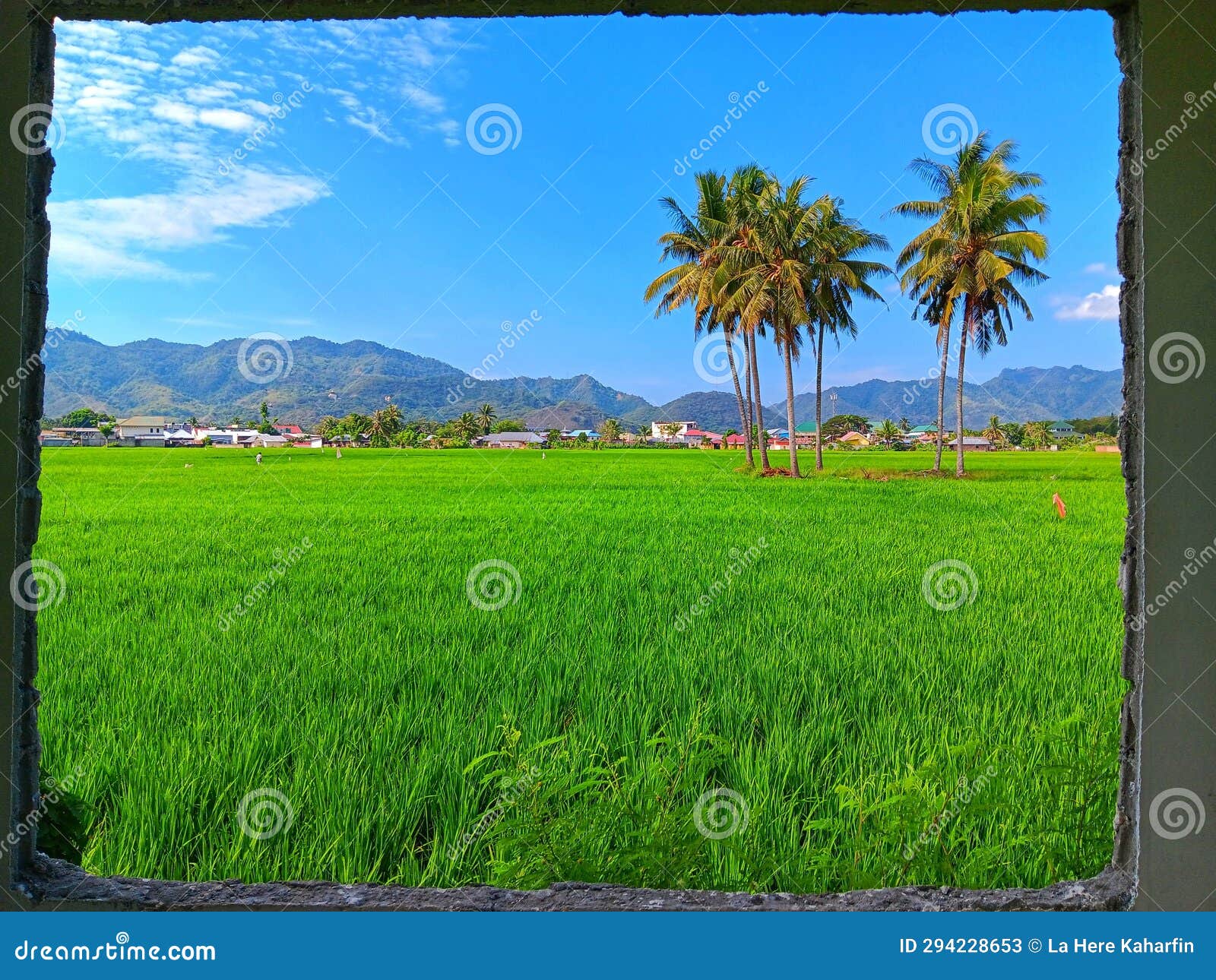 Rice Field, Mountain and Blue Skies Landscape Stock Image - Image of ...