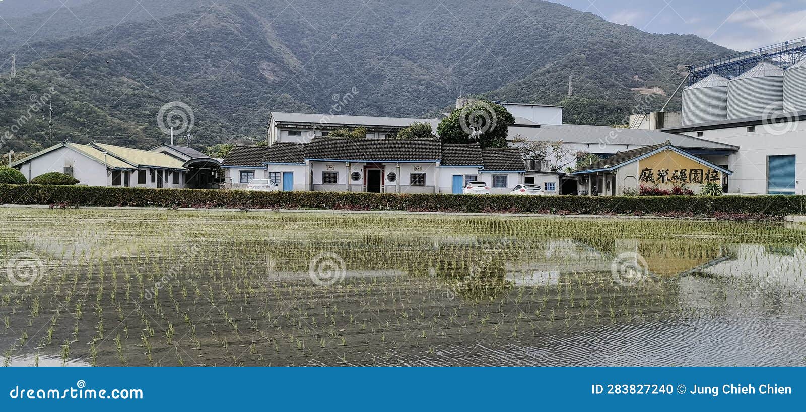 Rice Field in the Mountains Stock Photo - Image of landscape, estate ...