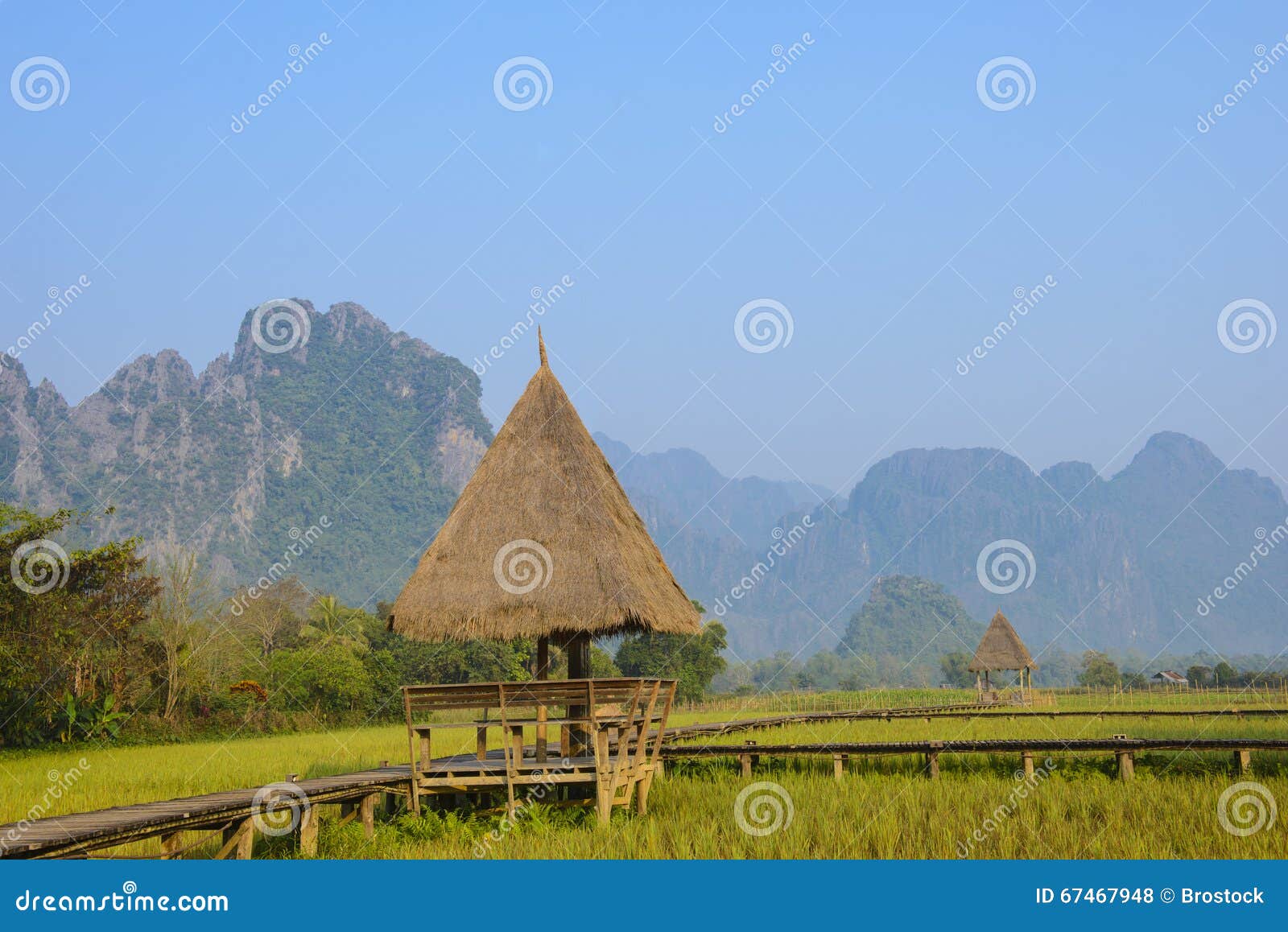 Rice field and straw hut stock photo. Image of bridge - 67467948