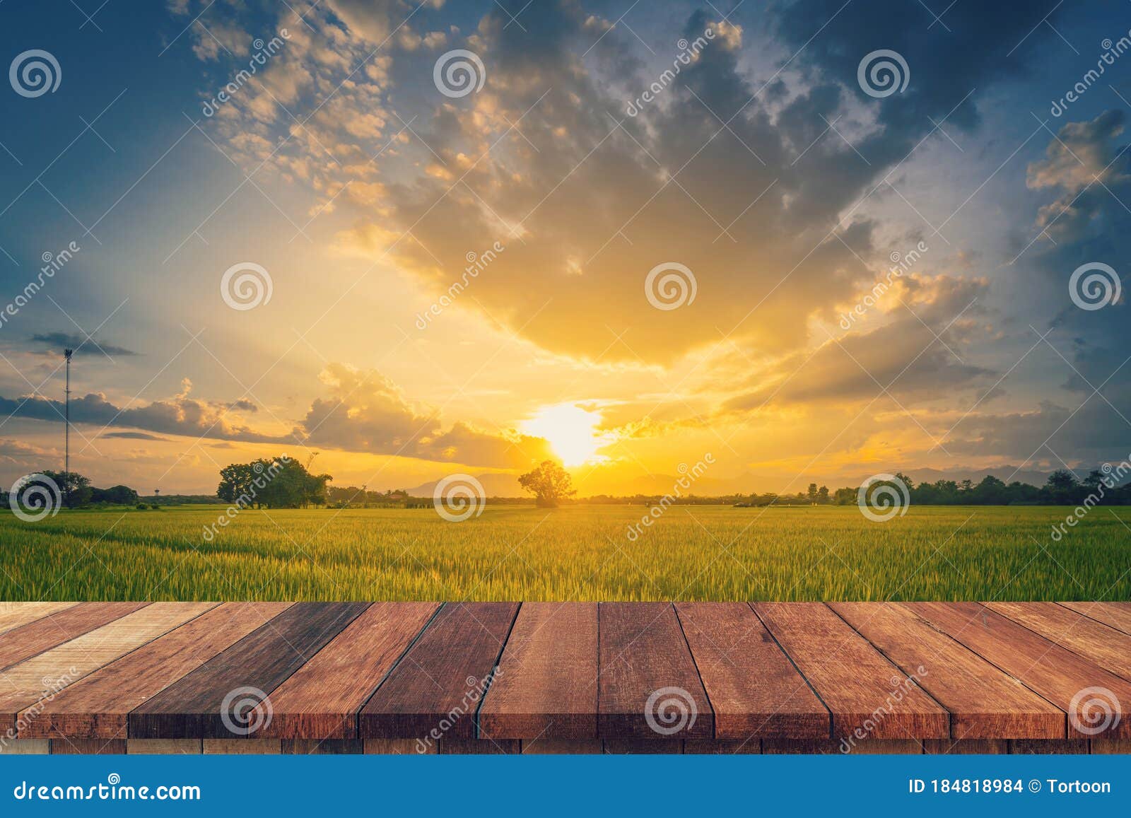 Rice Field Sunset and Empty Wood Table for Product Display and Montage ...