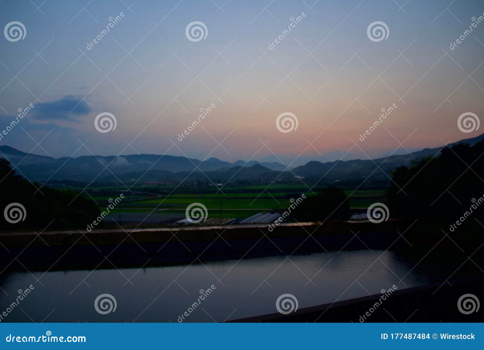 Rice field and sunset stock photo. Image of land, evening - 177487484