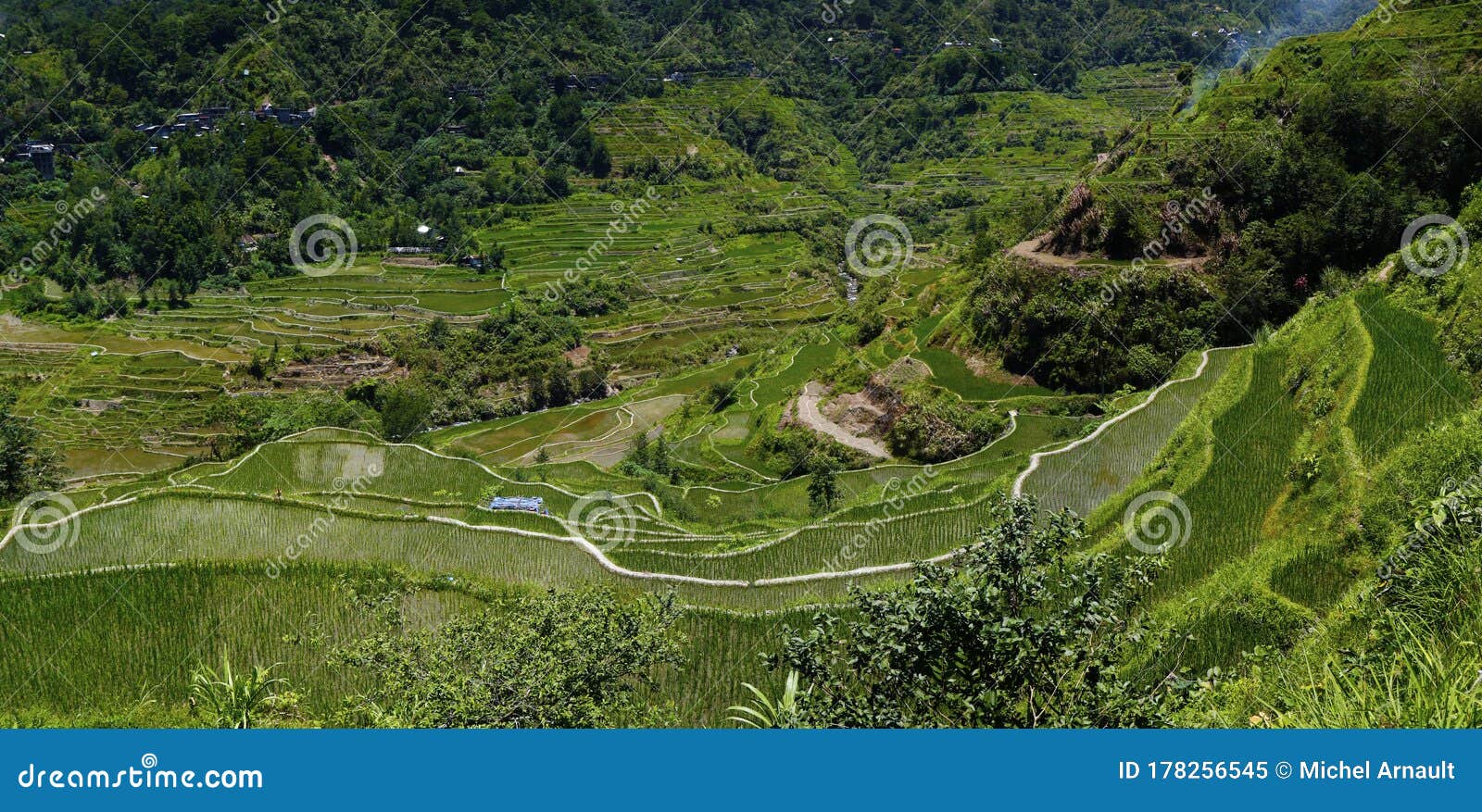 Rice Field Terraces in Philippines Stock Image - Image of farmer, grain ...